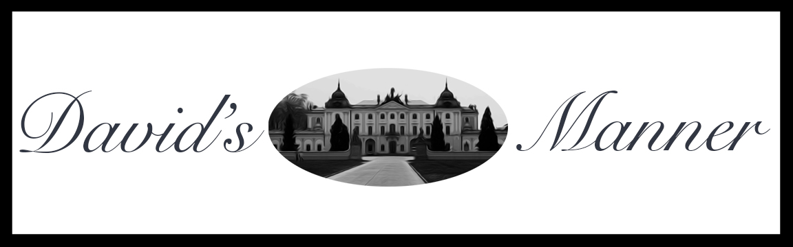 David’s Manner logo – David's Manor